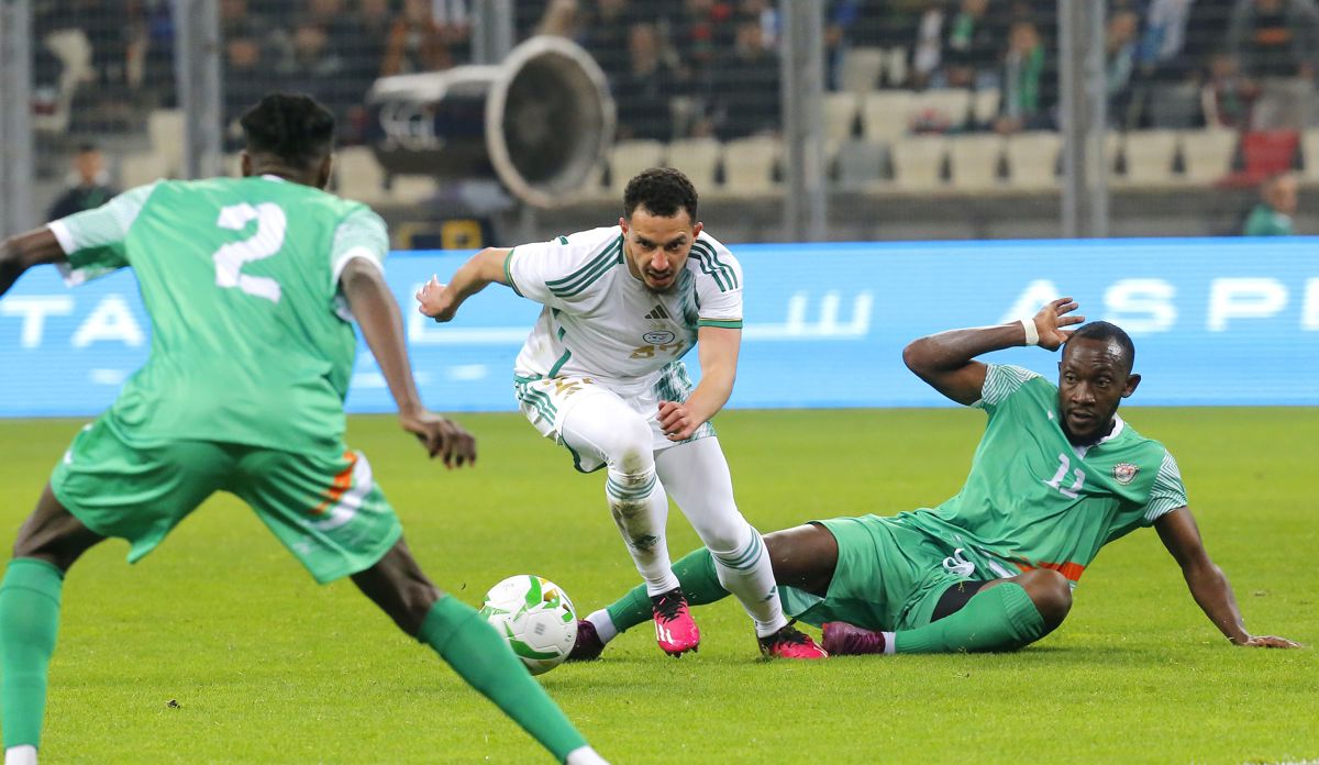 totalenergies-afcon-qualifiers-belmadi-bemoans-algeria-finishing ...